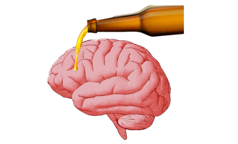 Woohoo!!! Recovery beer is good for your brain - Mamilian